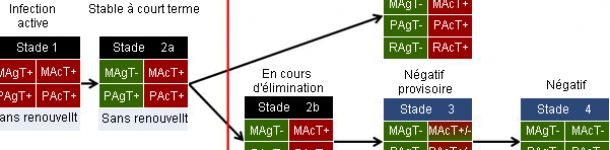 Conduite stratégique des truies de renouvellement pour le SDRP ...