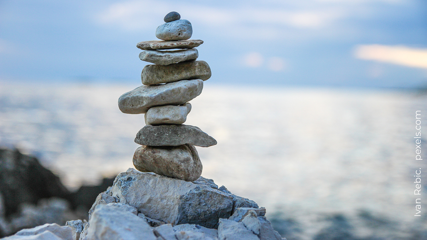 L'équilibre instable du prix du porc se rompt enfin ! - Articles ...