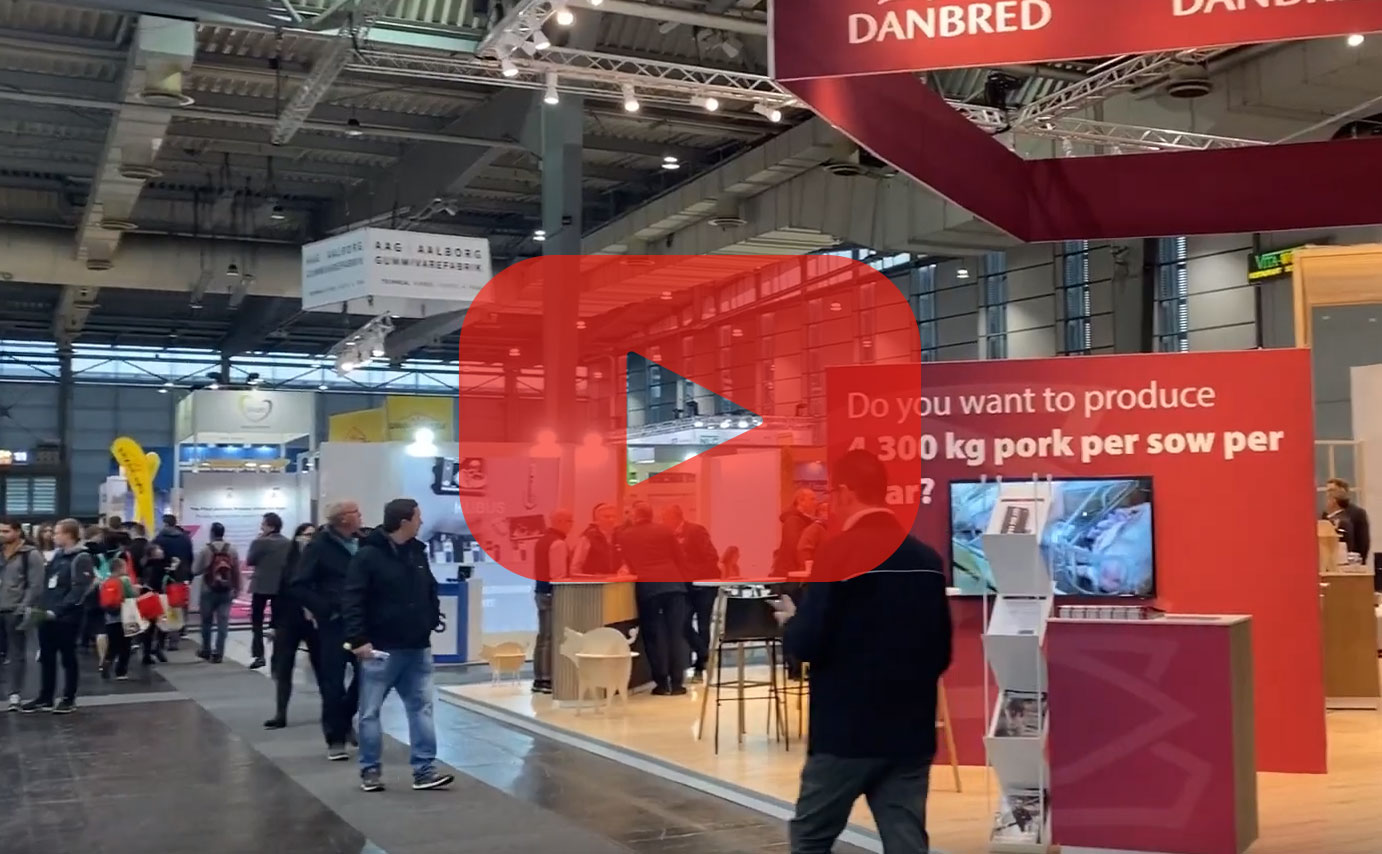 Eurotier 2022 - Reportages - 3trois3, Le site de la filière porc