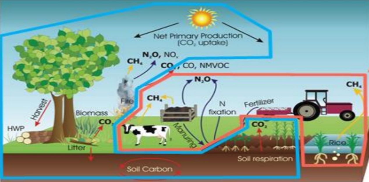 L'UE doit réduire ses émissions de 40 % d'ici 2030 - Nouvelles ...