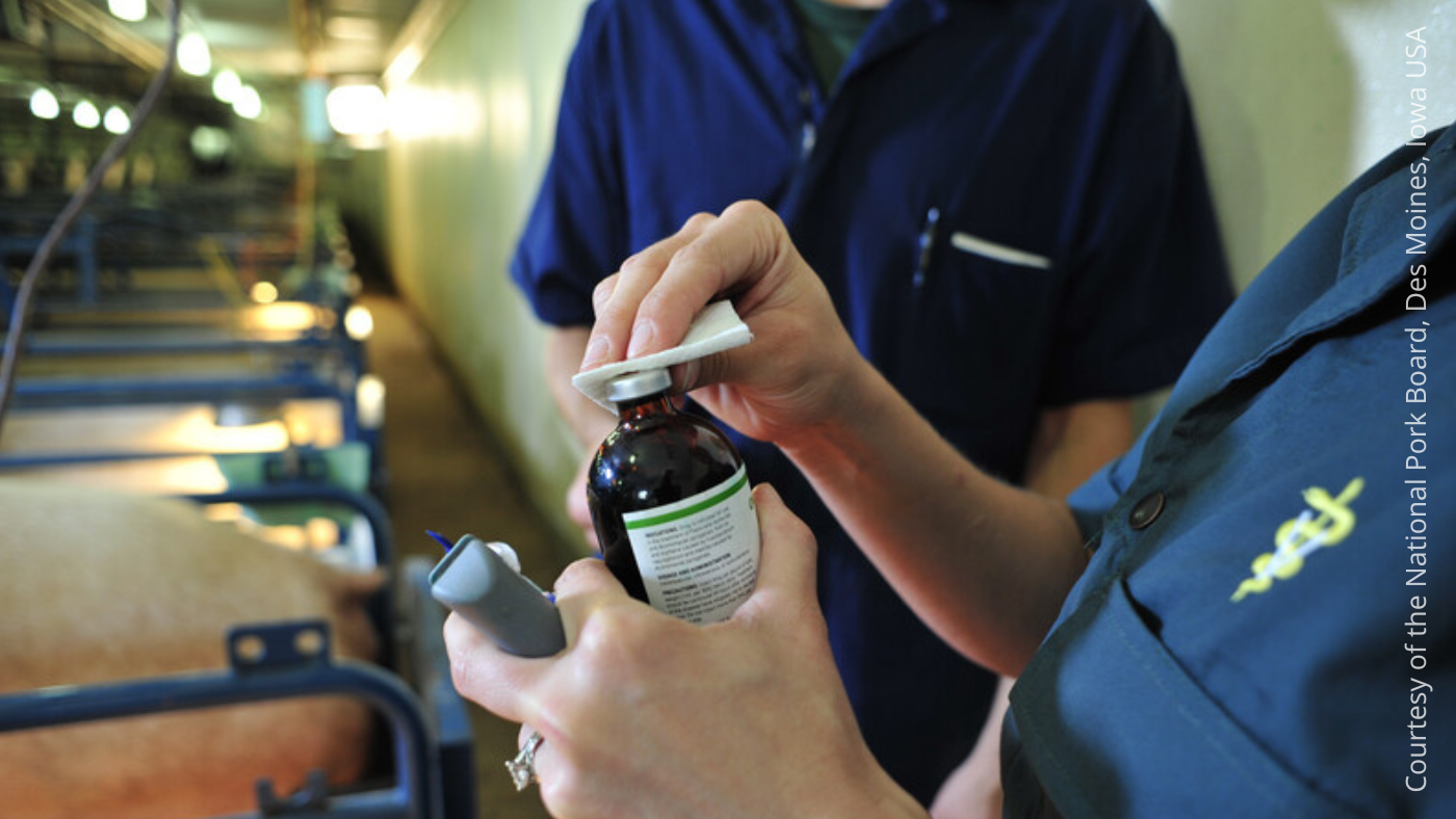 UE : promouvoir l'utilisation prudente des antimicrobiens - Nouvelles ...