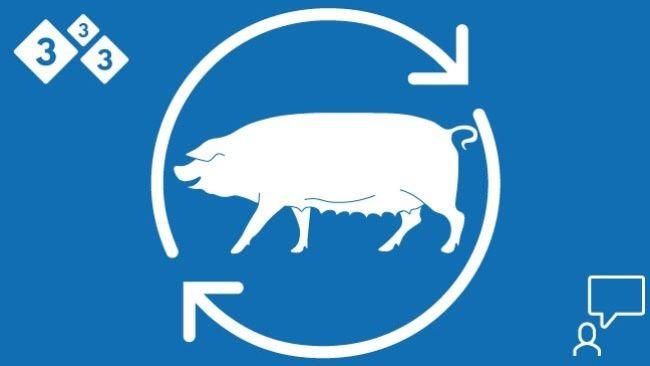 Génétique et Reproduction - 3trois3, Le site de la filière porc