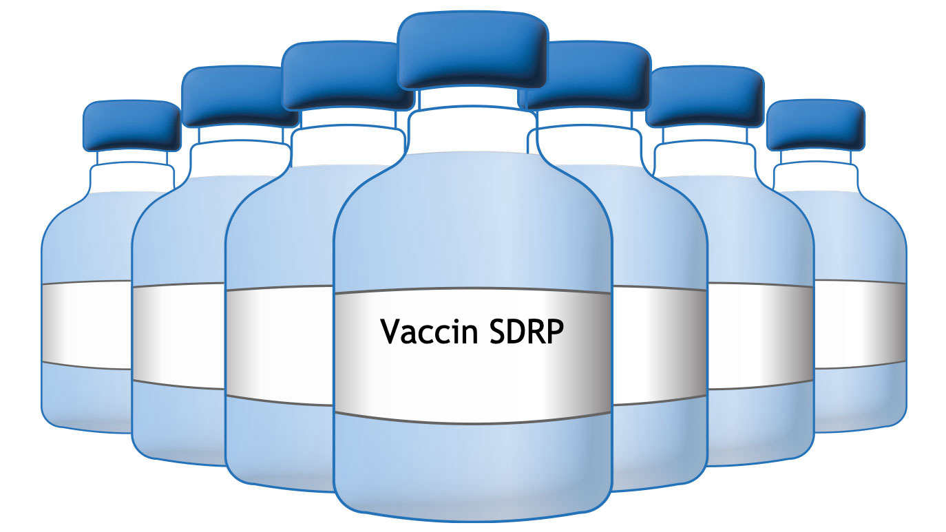 Vaccins contre le virus du SDRP - Articles - 3trois3, Le site de la ...