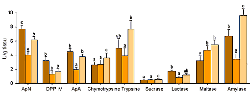 Physiopathologie digestive des porcelets nouveau-nés et sevrés - Articles - 3trois3, Le site de ...